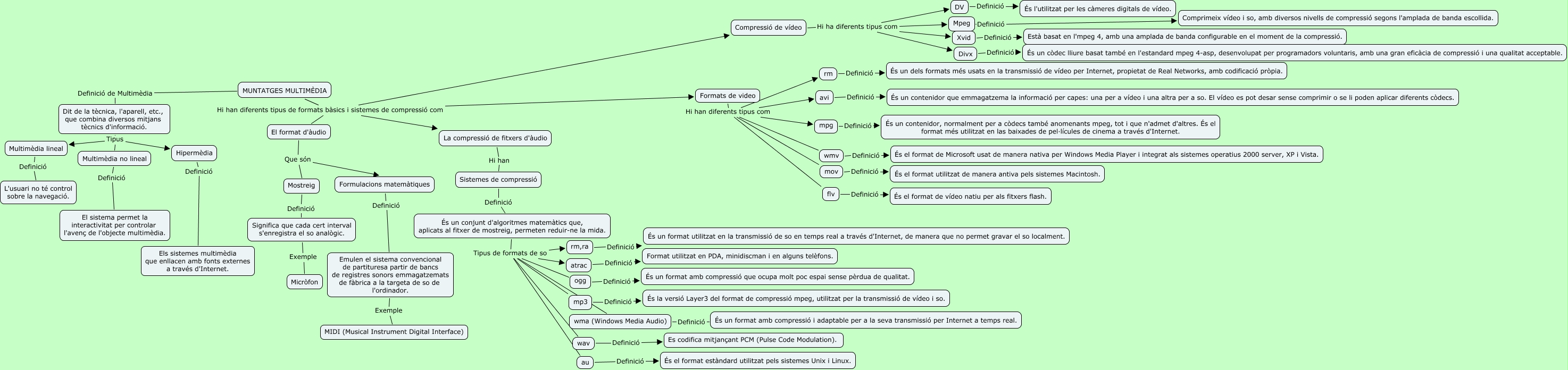 Marta Farré Berdún 4